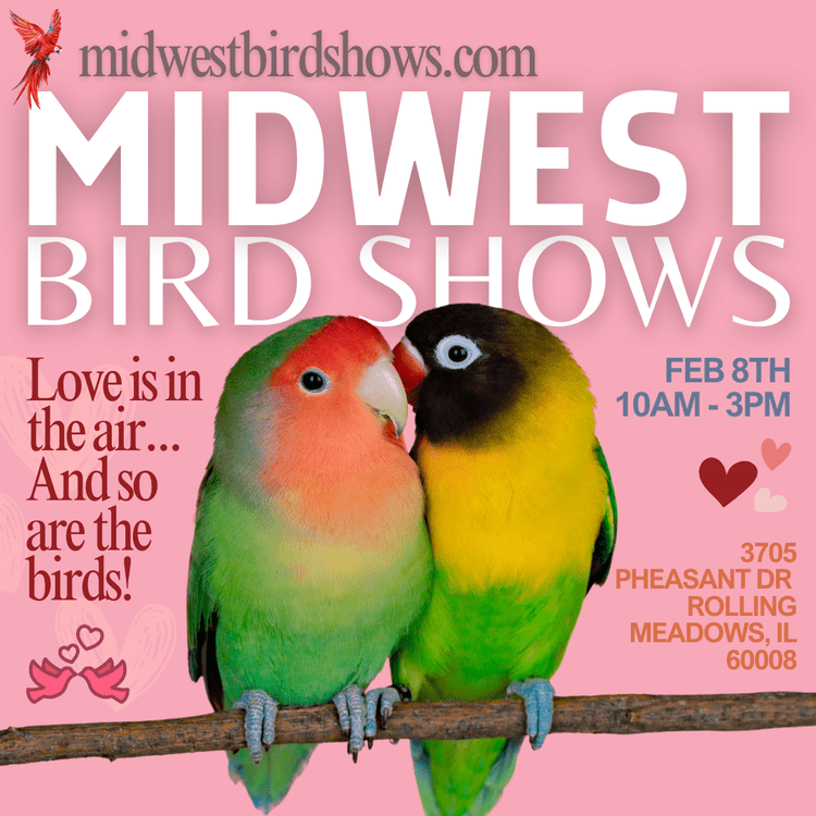 Midwest Bird Shows