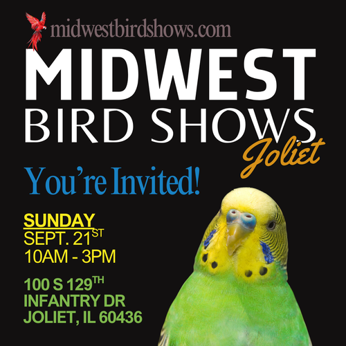 Upcoming Events — Midwest Bird Shows
