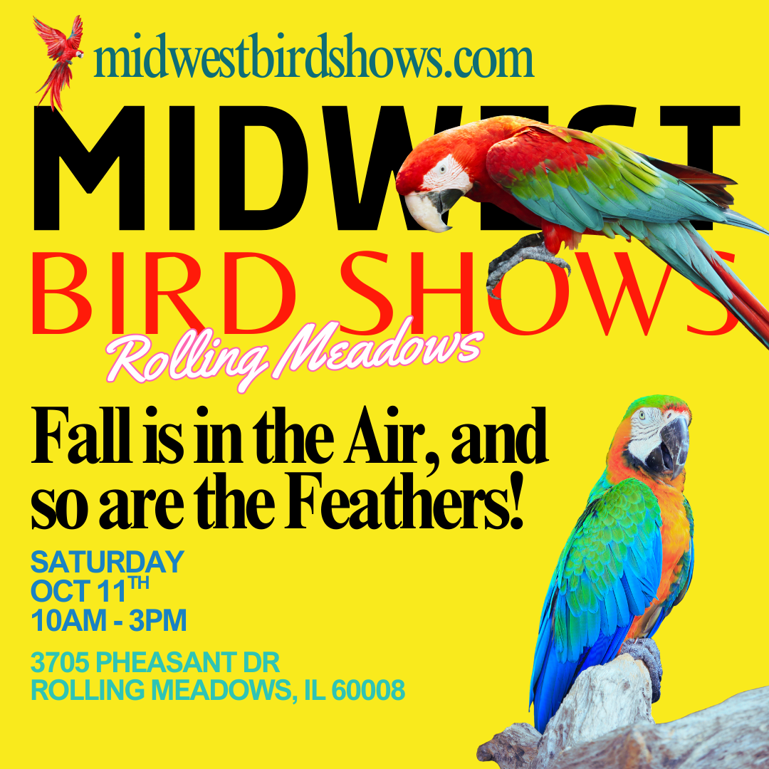 Upcoming Events — Midwest Bird Shows