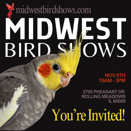 Upcoming Events — Midwest Bird Shows