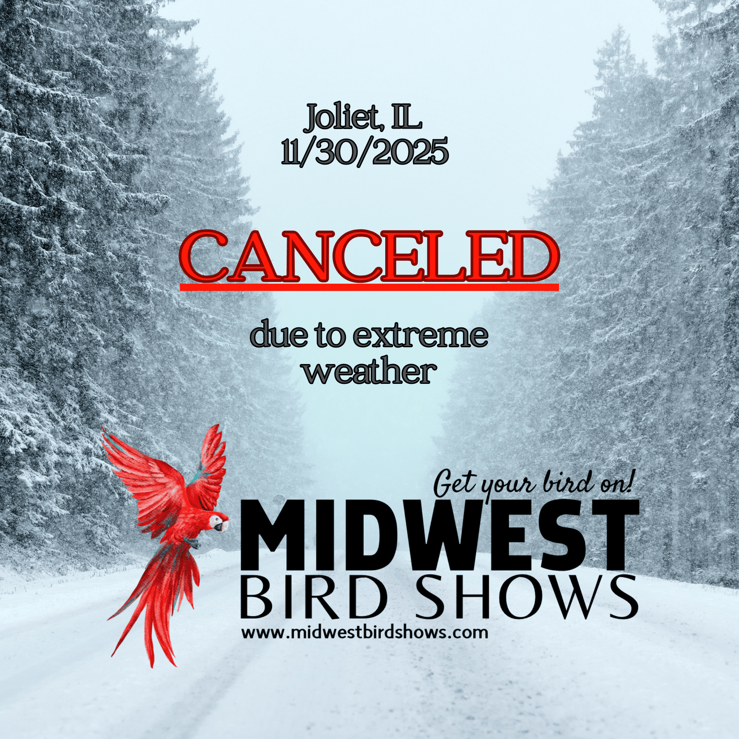 Upcoming Events — Midwest Bird Shows