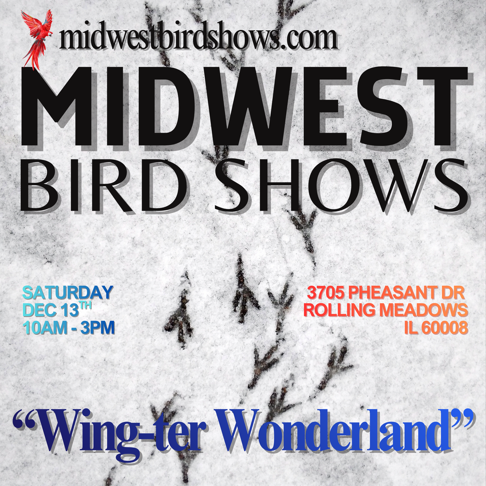 Upcoming Events — Midwest Bird Shows