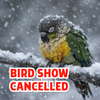 Upcoming Events — Midwest Bird Shows