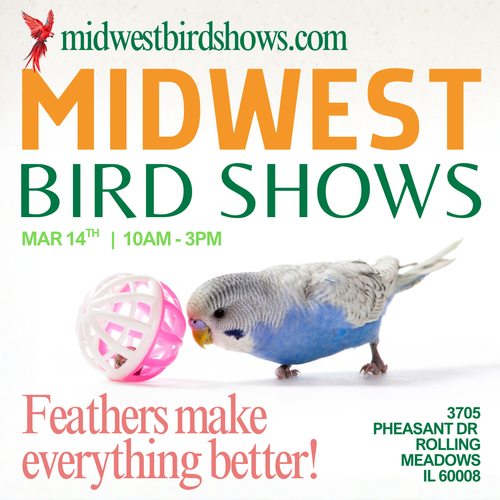 Upcoming Events — Midwest Bird Shows