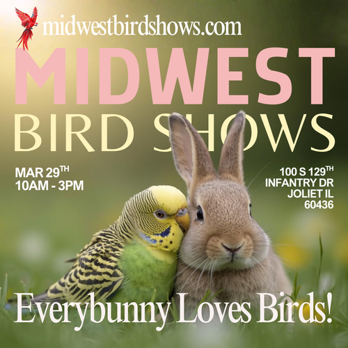 Upcoming Events — Midwest Bird Shows