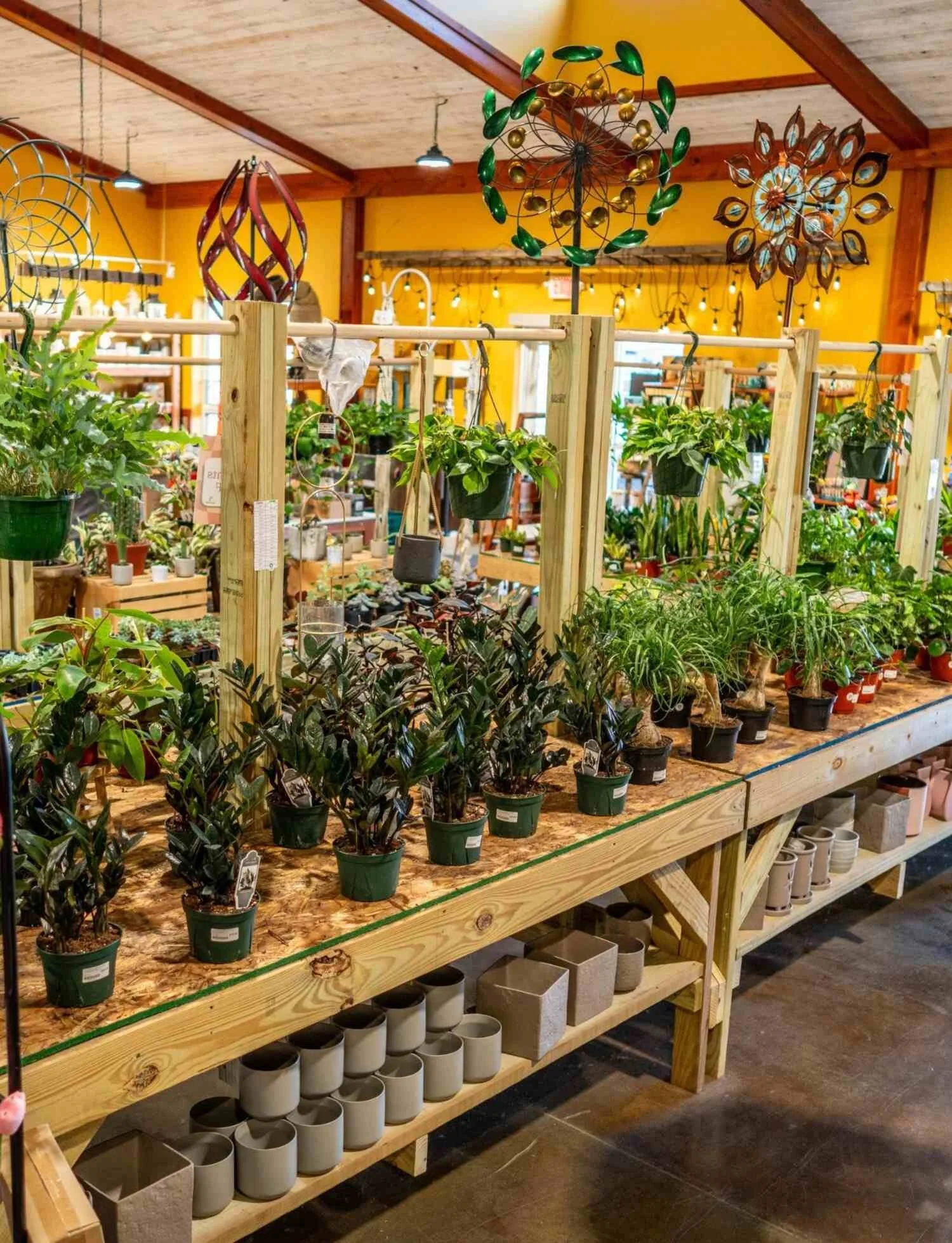 Plant Nursery in Appleton, WI | Van Zeeland Nursery & Landscape