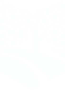 Landscaping Company in Rogers, AR | Blue Ribbon Outdoor