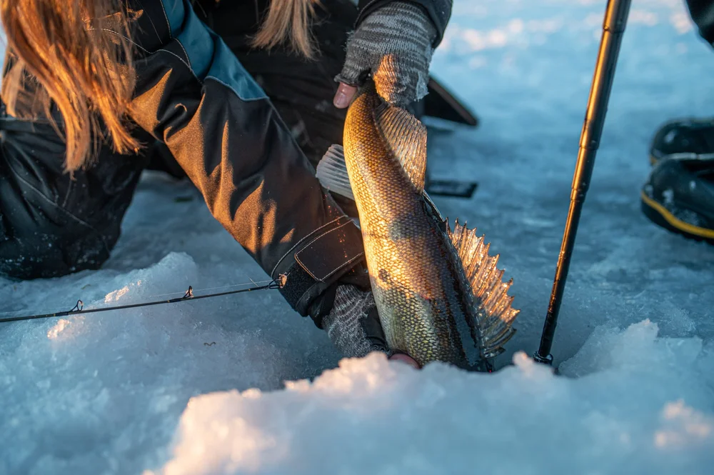 Ice Season — North Mille Lacs Ice Fishing
