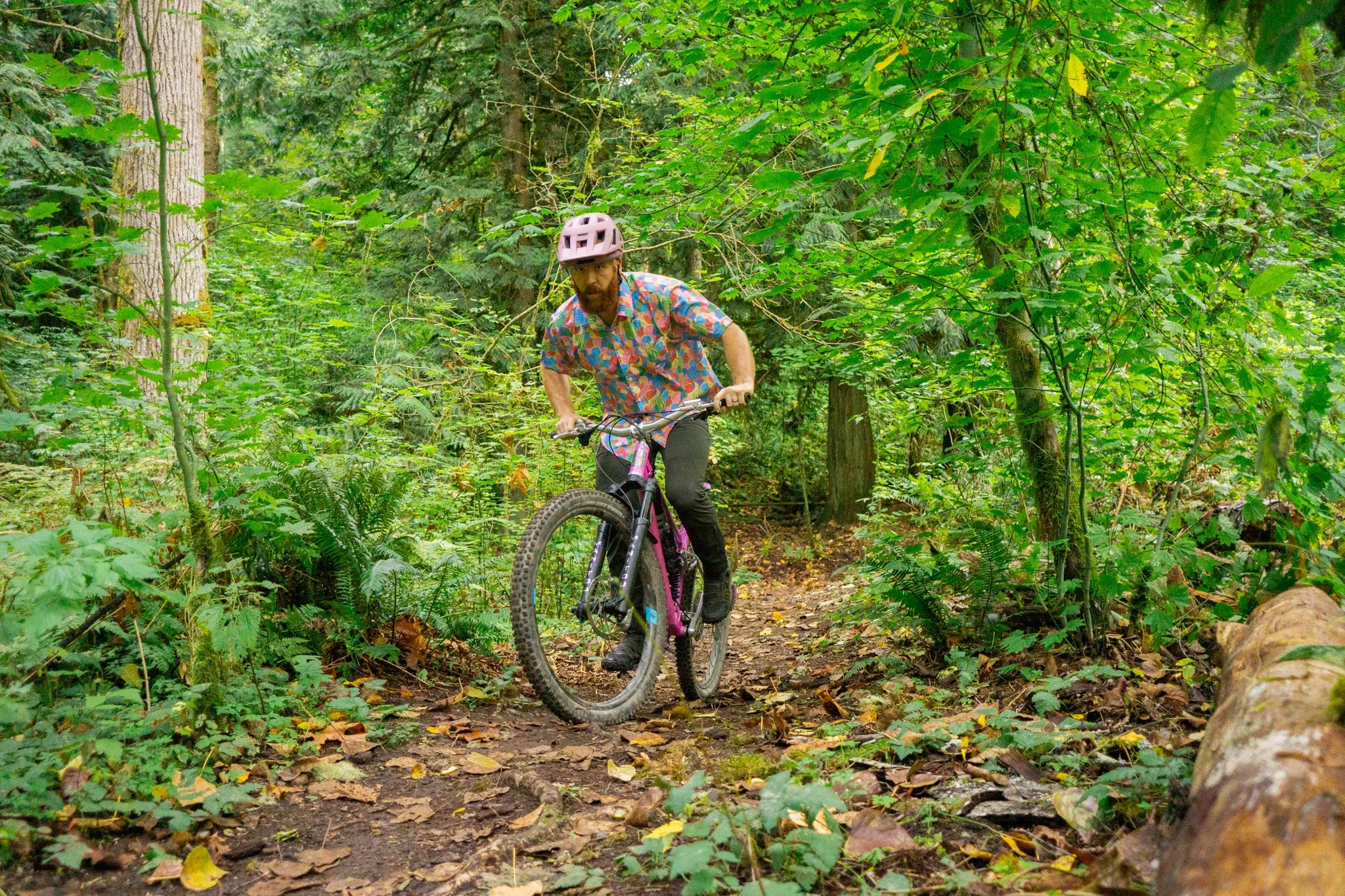 An in-depth review of Schwalbe's new Albert Radial Tires — About the Ride