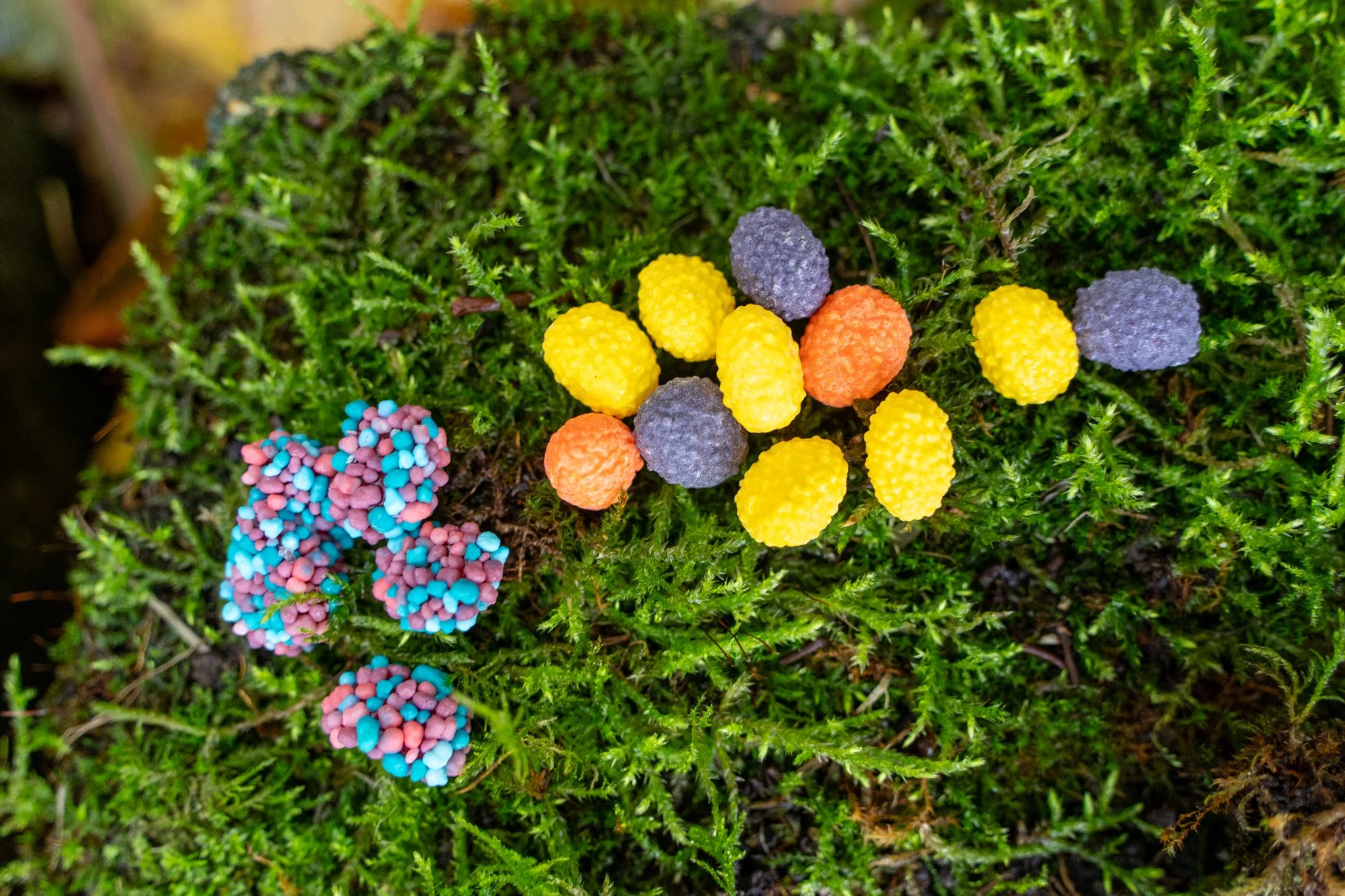 Review Showdown: Nerds Gummy Clusters vs. Big Chewy Nerds — About the Ride