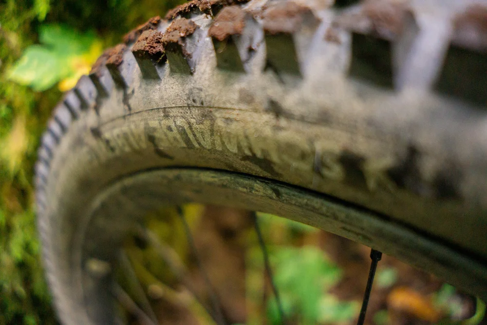 An in-depth review of Schwalbe's new Albert Radial Tires — About the Ride