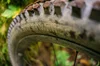 An in-depth review of Schwalbe's new Albert Radial Tires — About the Ride