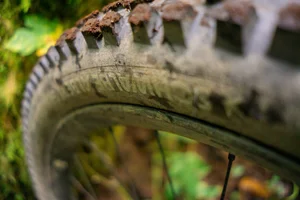 An in-depth review of Schwalbe's new Albert Radial Tires — About the Ride