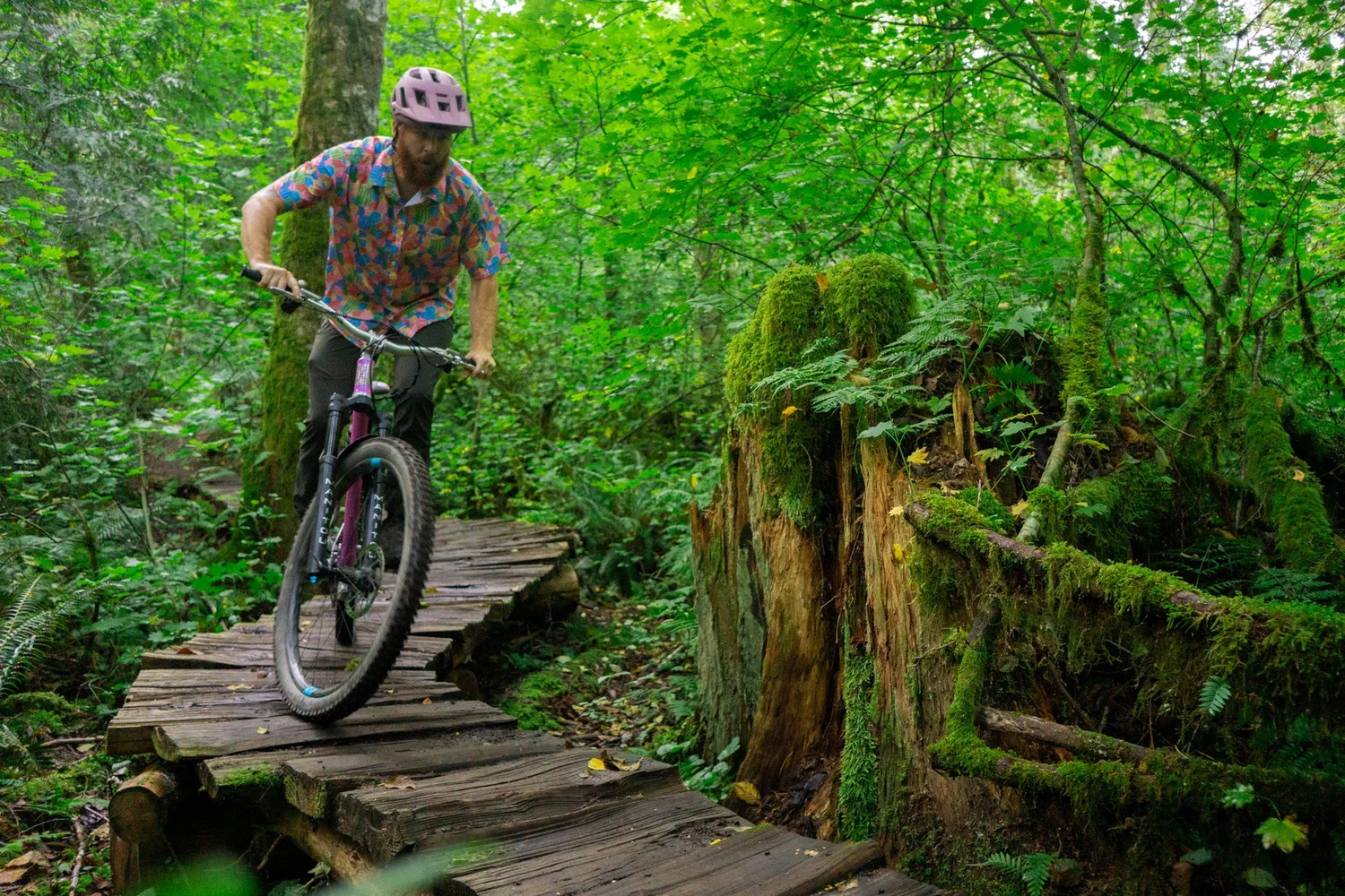 An in-depth review of Schwalbe's new Albert Radial Tires — About the Ride