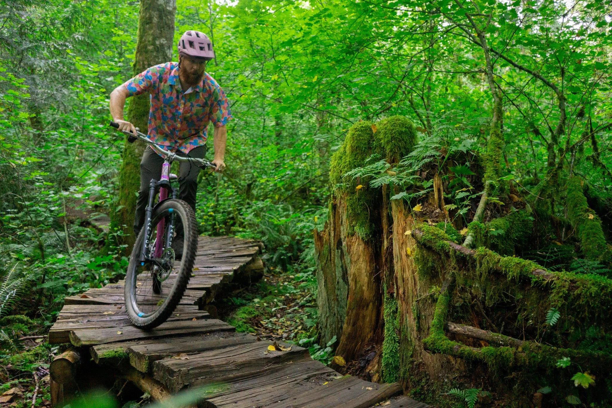 An in-depth review of Schwalbe's new Albert Radial Tires — About the Ride