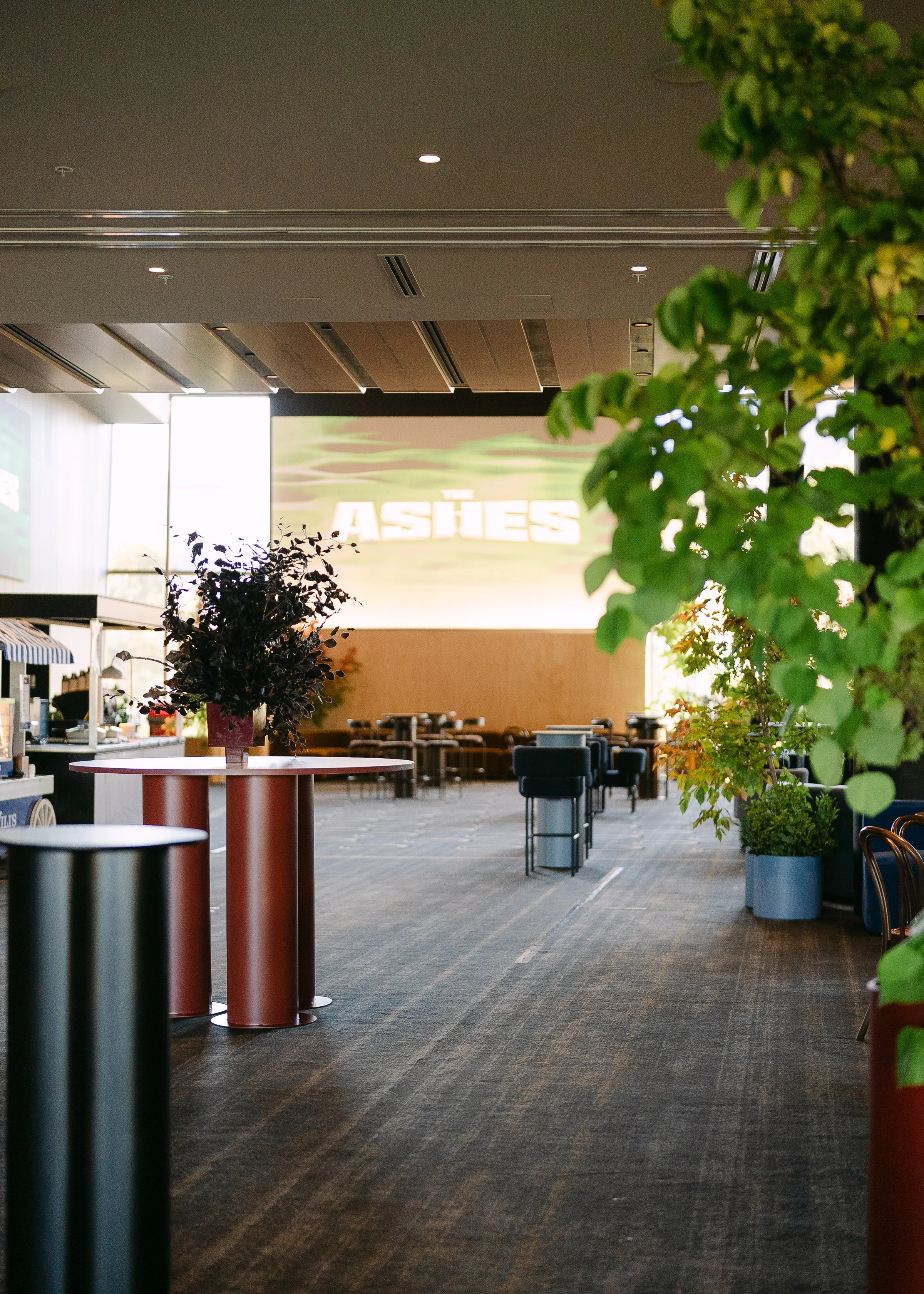 DANN X SACA — HYGGE STUDIO