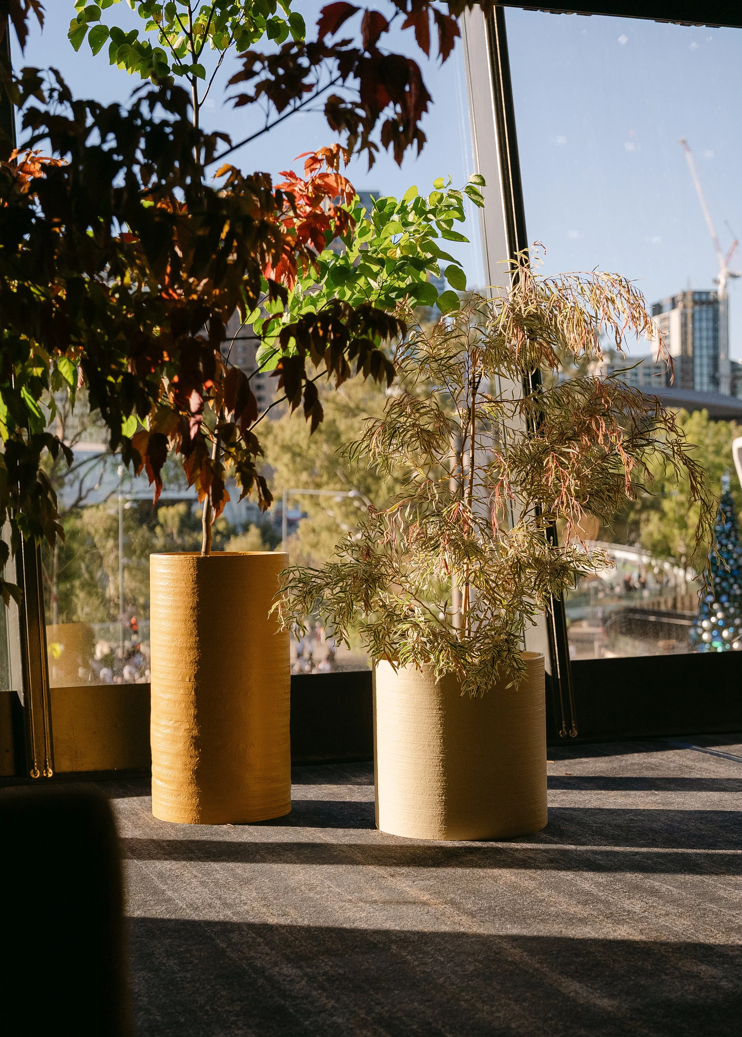 DANN X SACA — HYGGE STUDIO