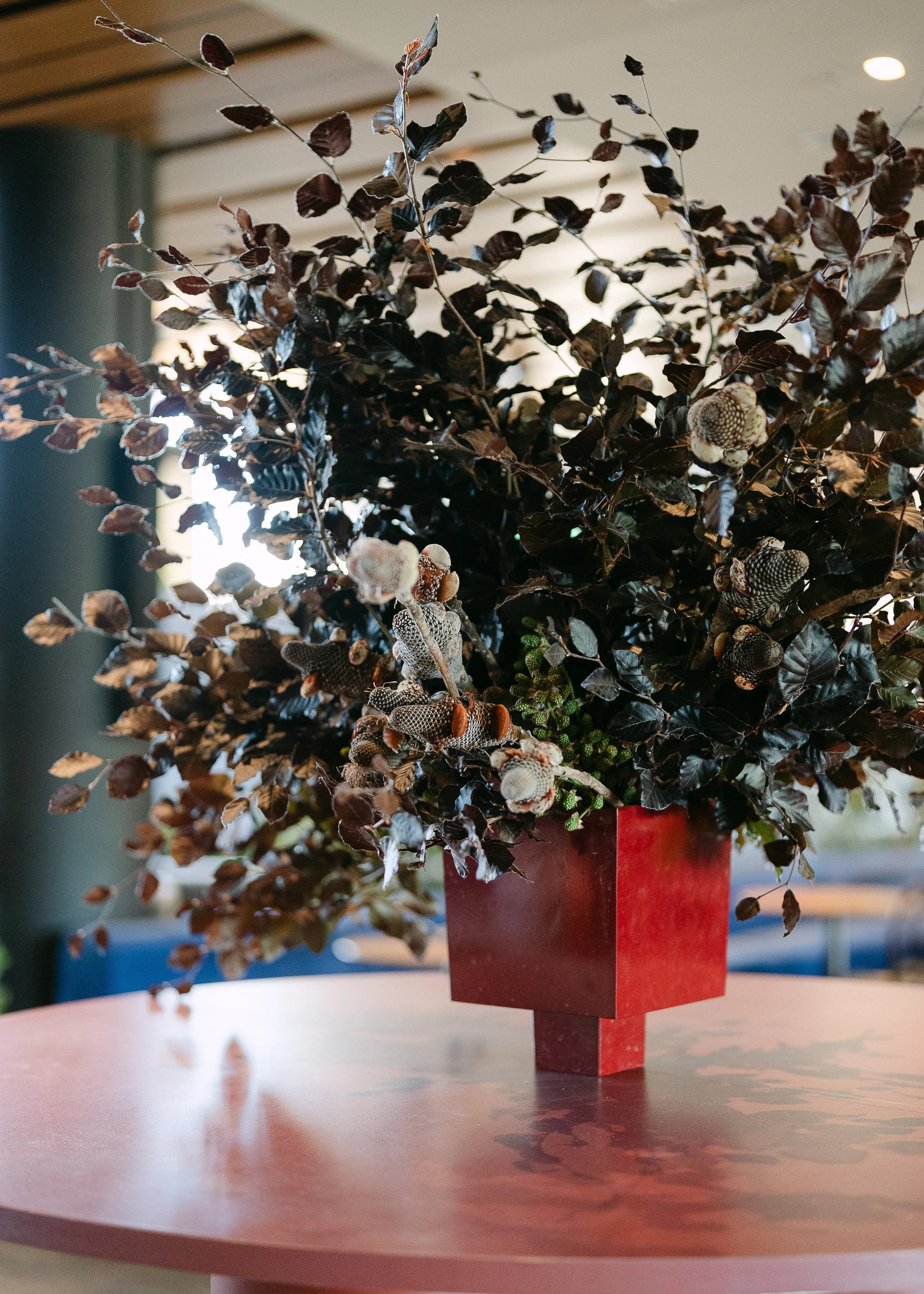 DANN X SACA — HYGGE STUDIO