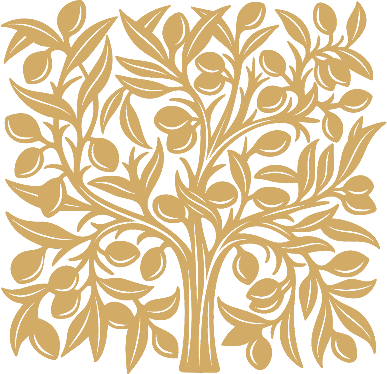 FAQs — Nicea Olive Oil