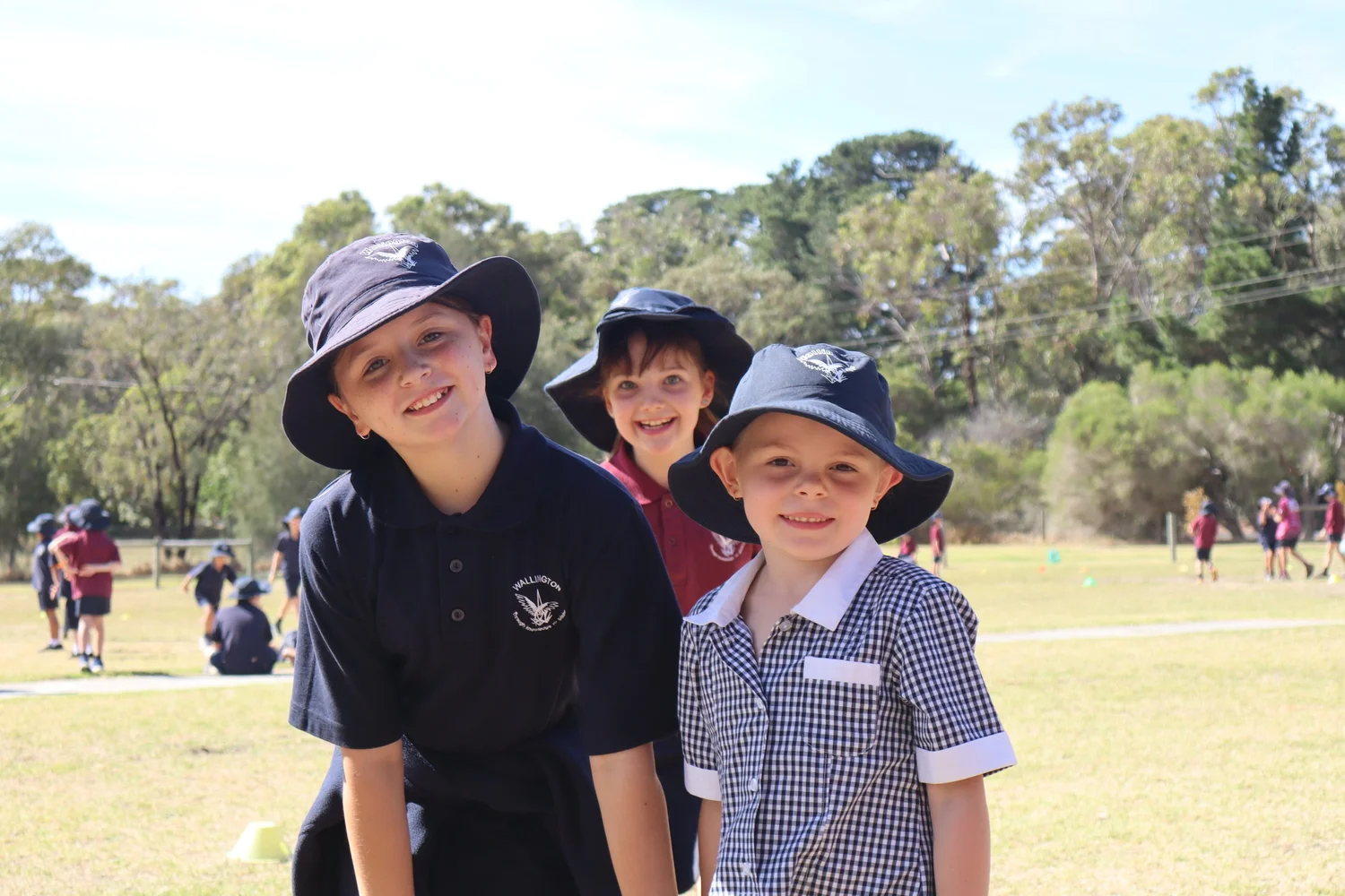 Wallington Primary School