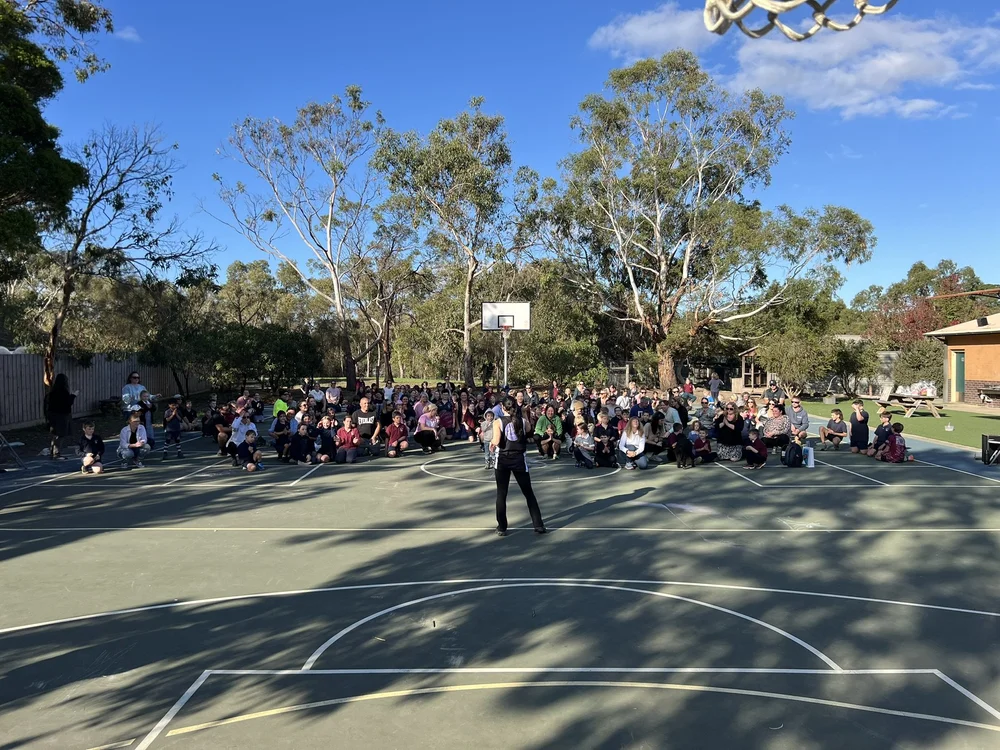 Blog 1 — Wallington Primary School