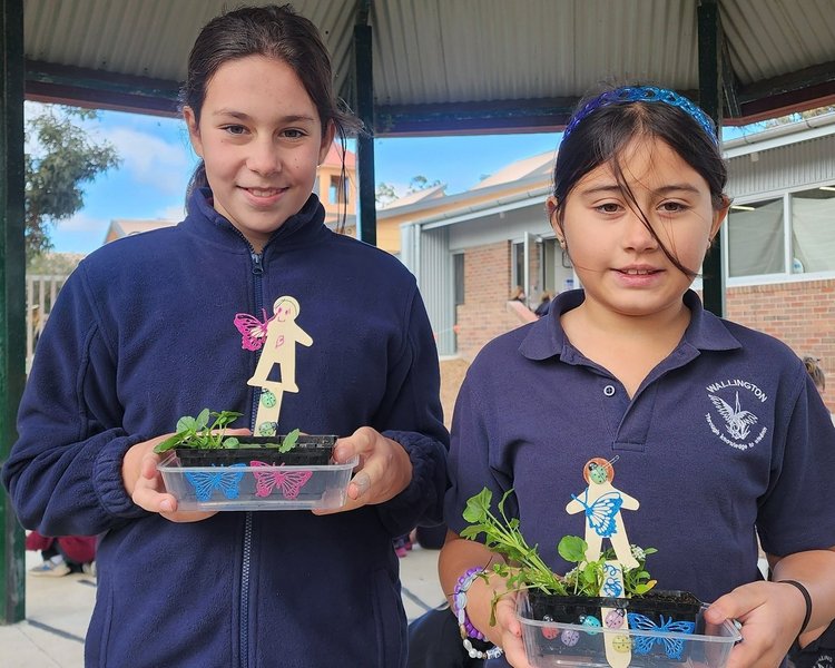 Blog 1 — Wallington Primary School