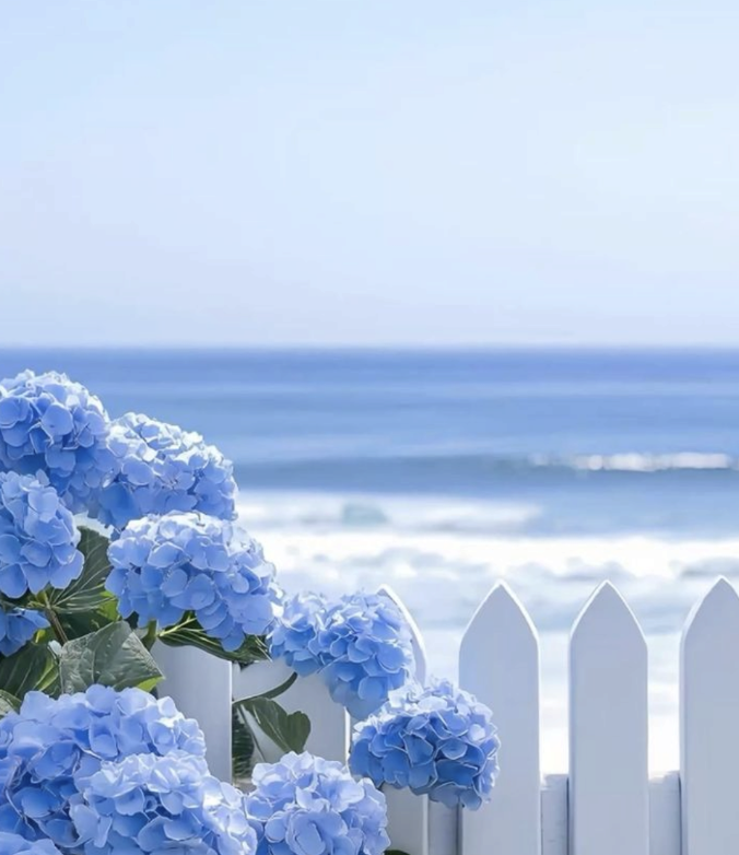 THE TIN FIDDLER | RESTAURANT & COCKTAIL BAR — SARNIA, ON