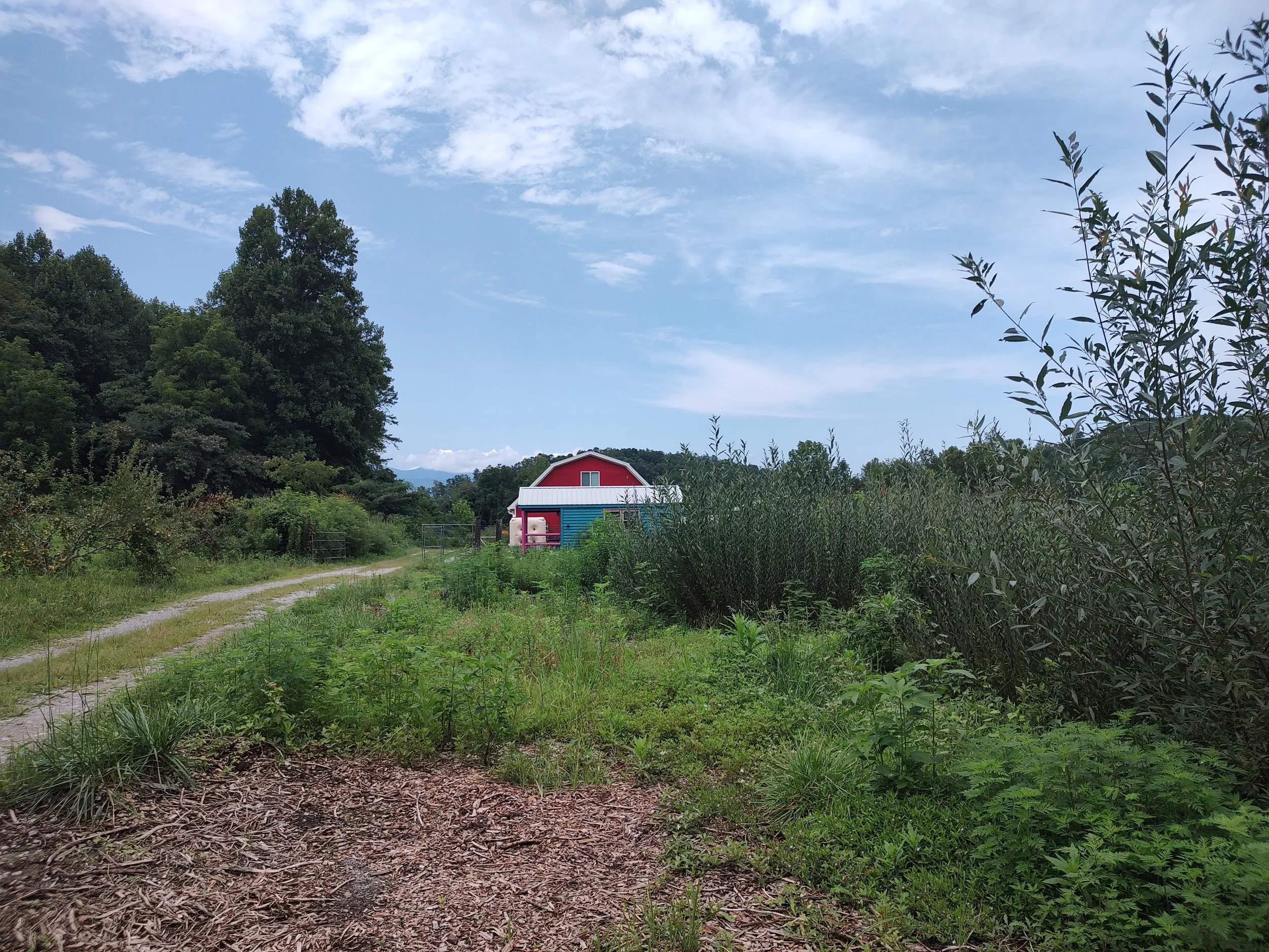 Events | Old Fort, NC — RoseThunder Farm