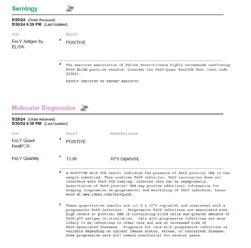 Admissions — Leuk's Landing