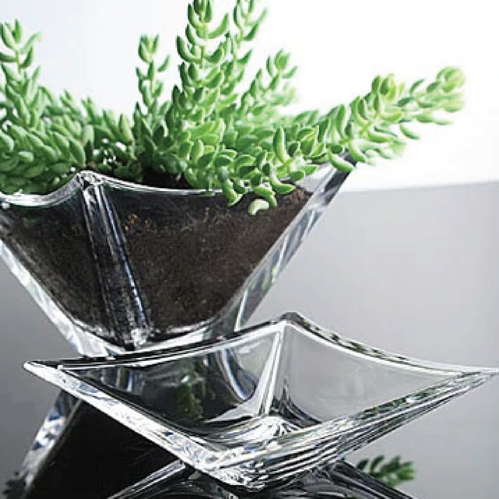 Store 2 — Lady Mary Beth