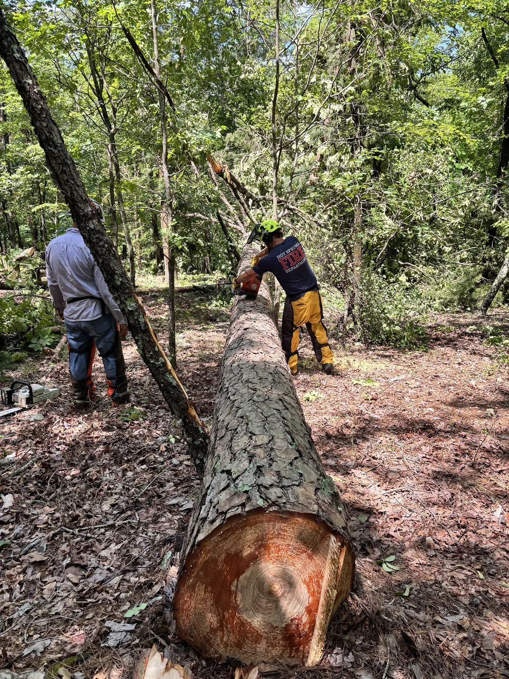 Professional Saw Training and Certification Courses