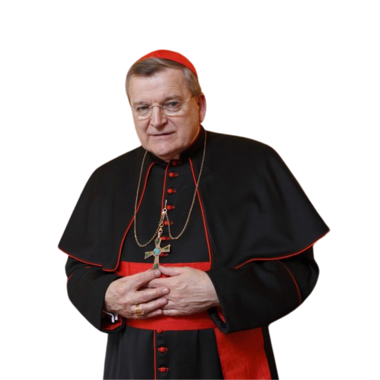 Father Carlos Martins