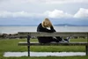 Perimenopause, Menopause & Mental Health: Why Your Brain Feels Like It ...