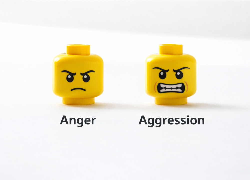 Anger vs Aggression Explained: Master Emotional Control and Values ...