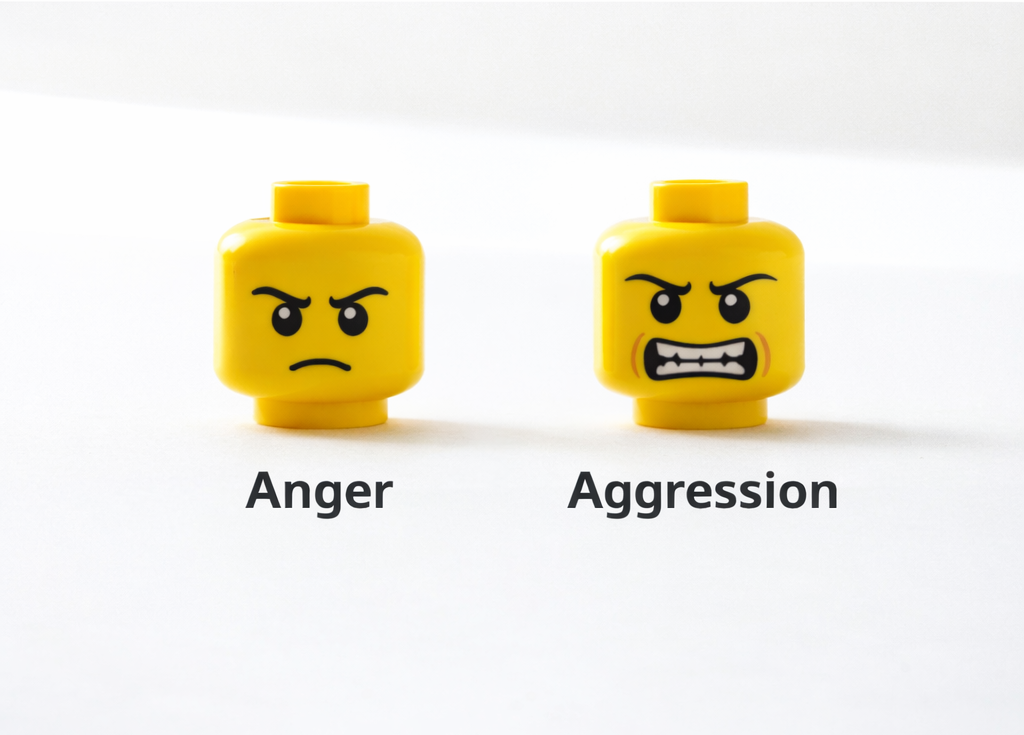 Anger vs Aggression Explained: Master Emotional Control and Values ...