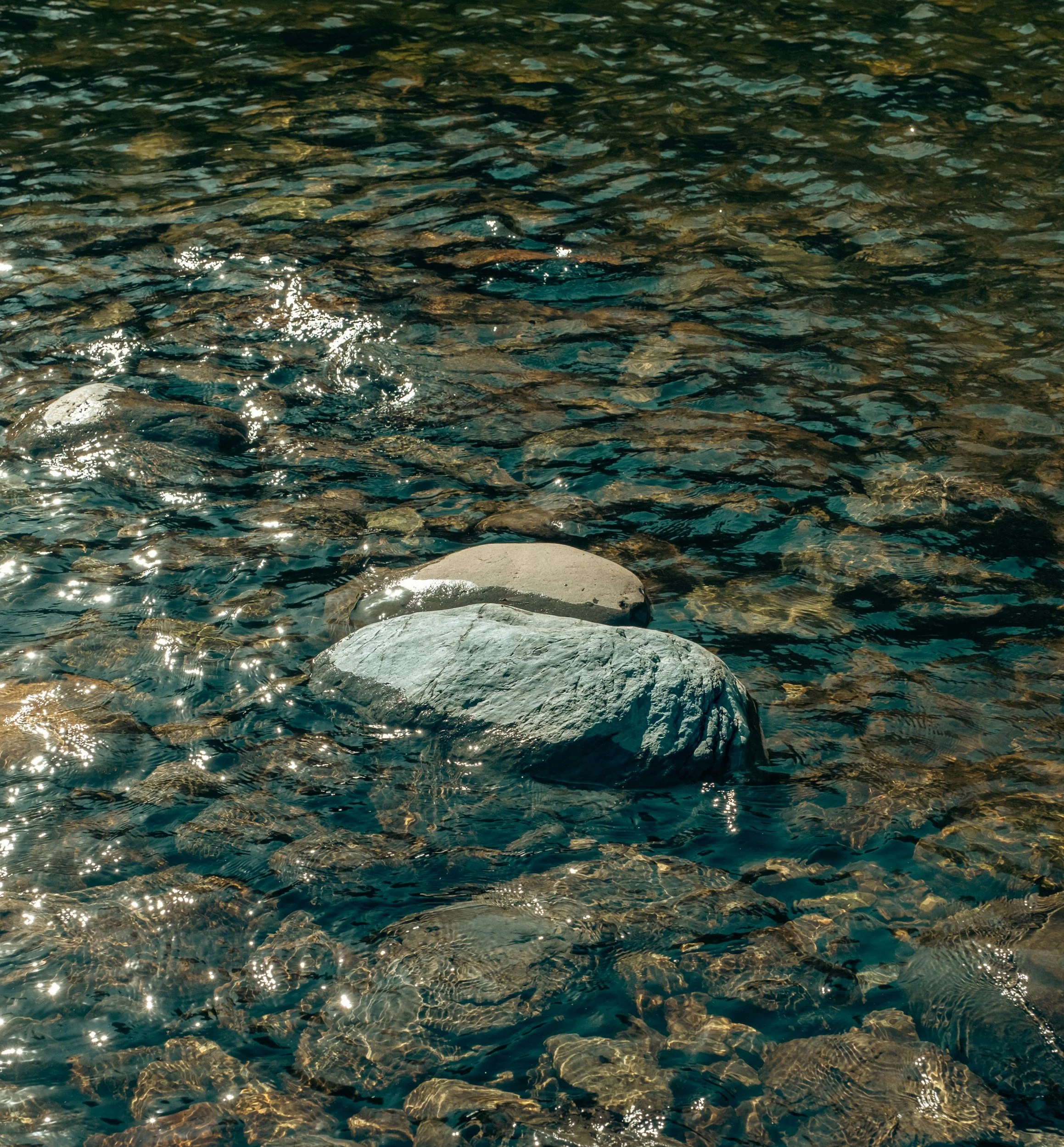 Society for Freshwater Science
