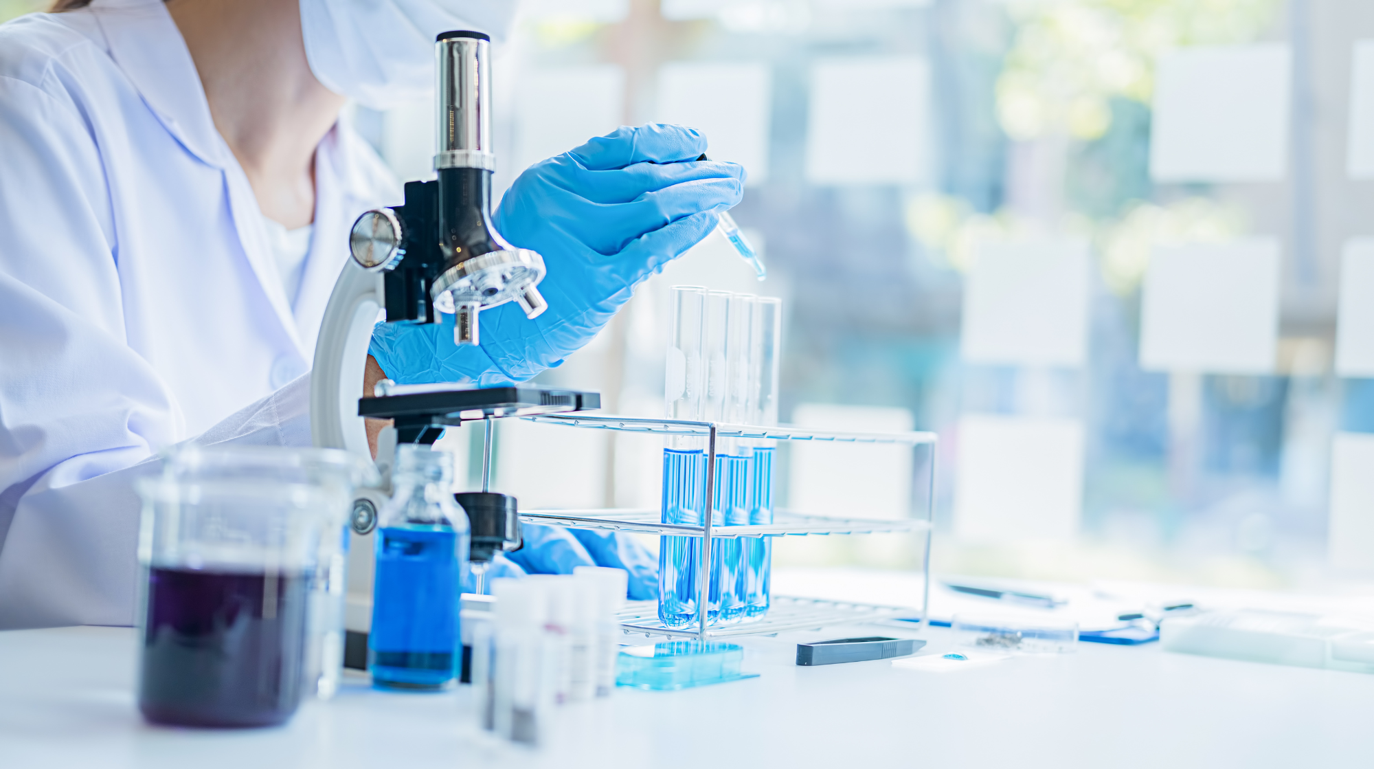 The IMIM Programme — IMIM