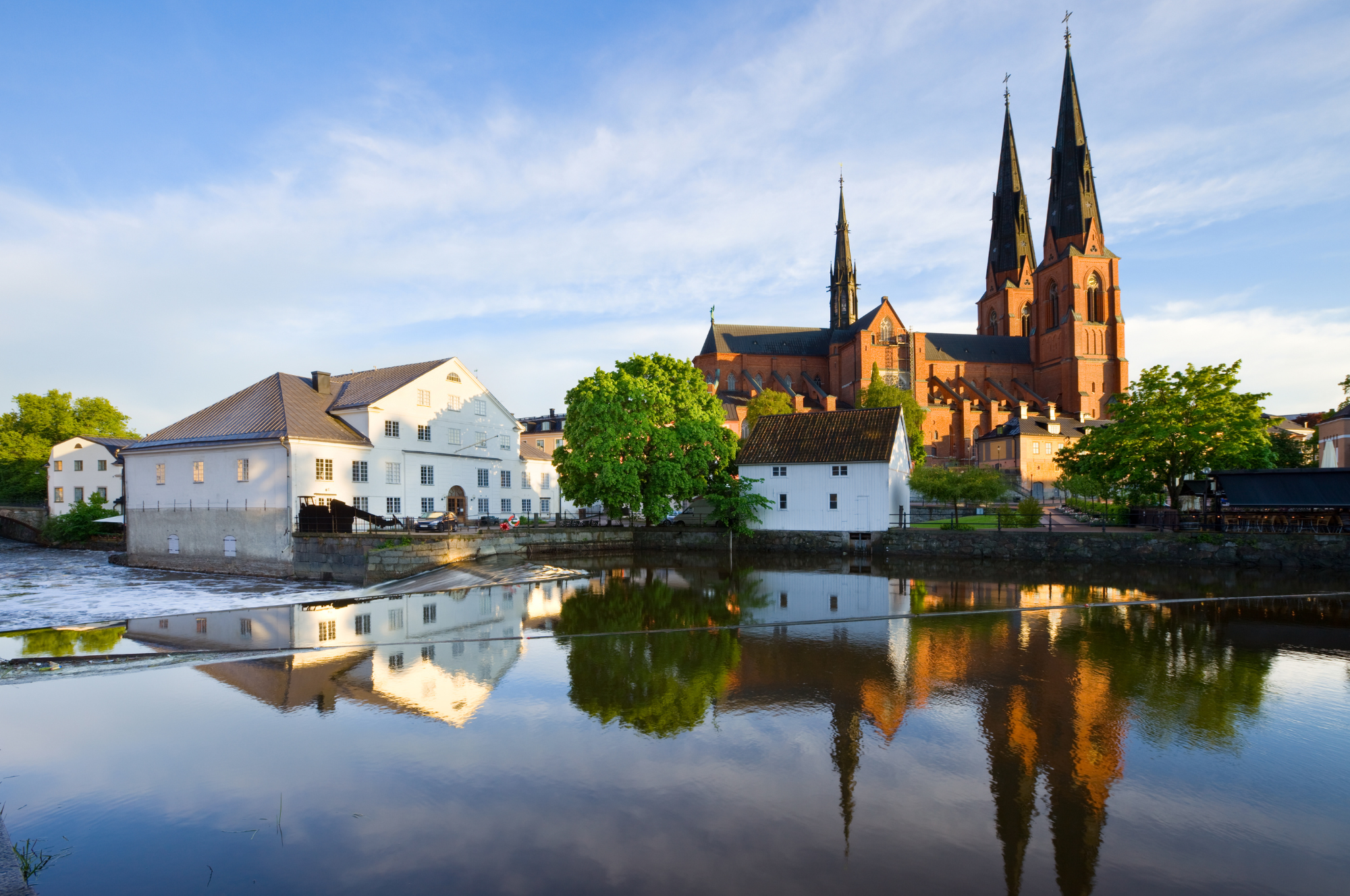 Uppsala University — IMIM