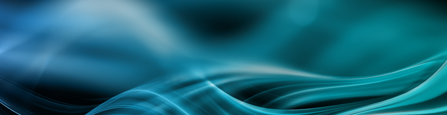 Team — Vestal Point Capital