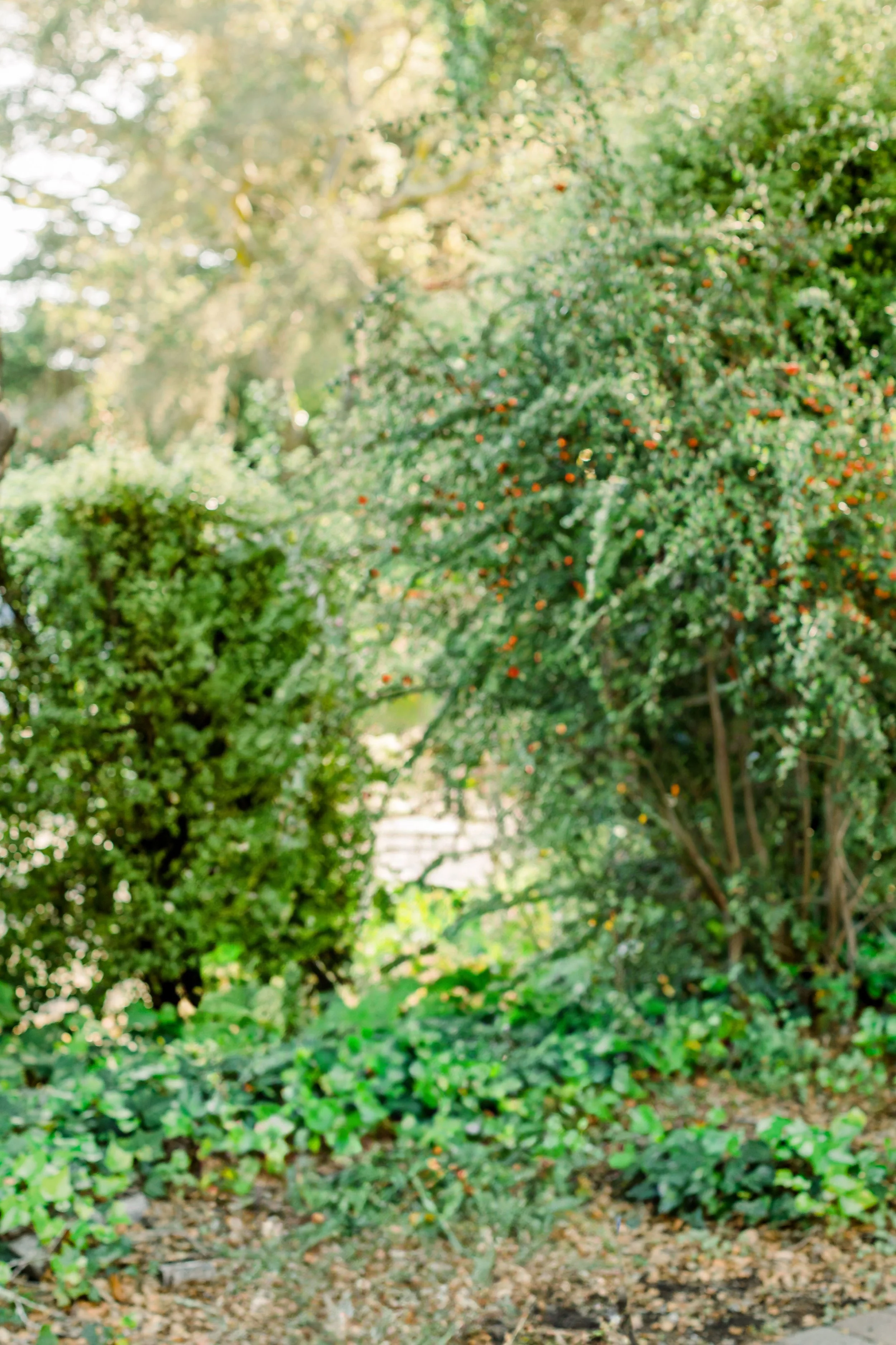 General 2 — John Fuchs Properties: Construction & Real Estate