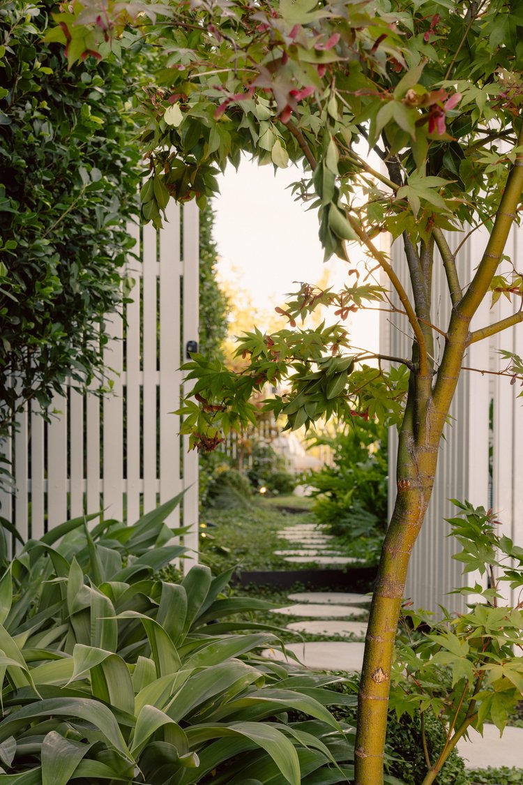 MINT Design | Luxury Landscape & Pool Design | Melbourne, Brisbane, Noosa