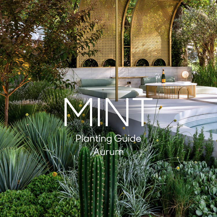 MINT Design | Luxury Landscape & Pool Design | Melbourne, Brisbane, Noosa