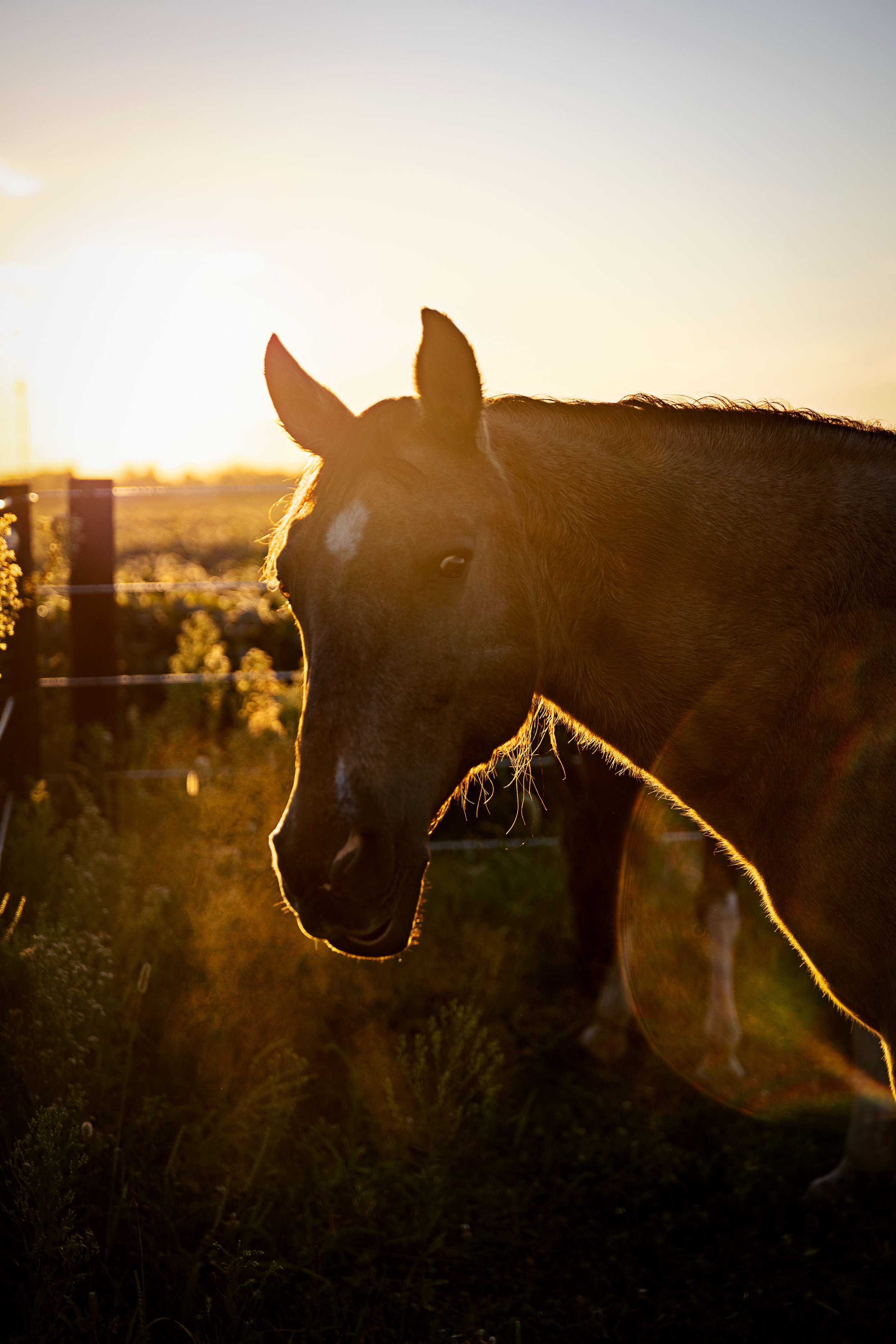 Riding Warriors at Sams Ranch