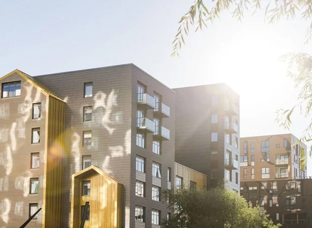 Developer — Eliza Yard