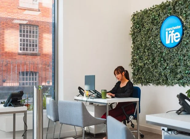 Developer — Eliza Yard