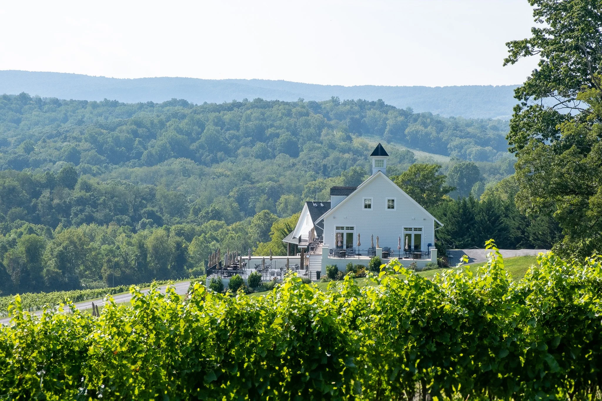 Delaplane Cellars