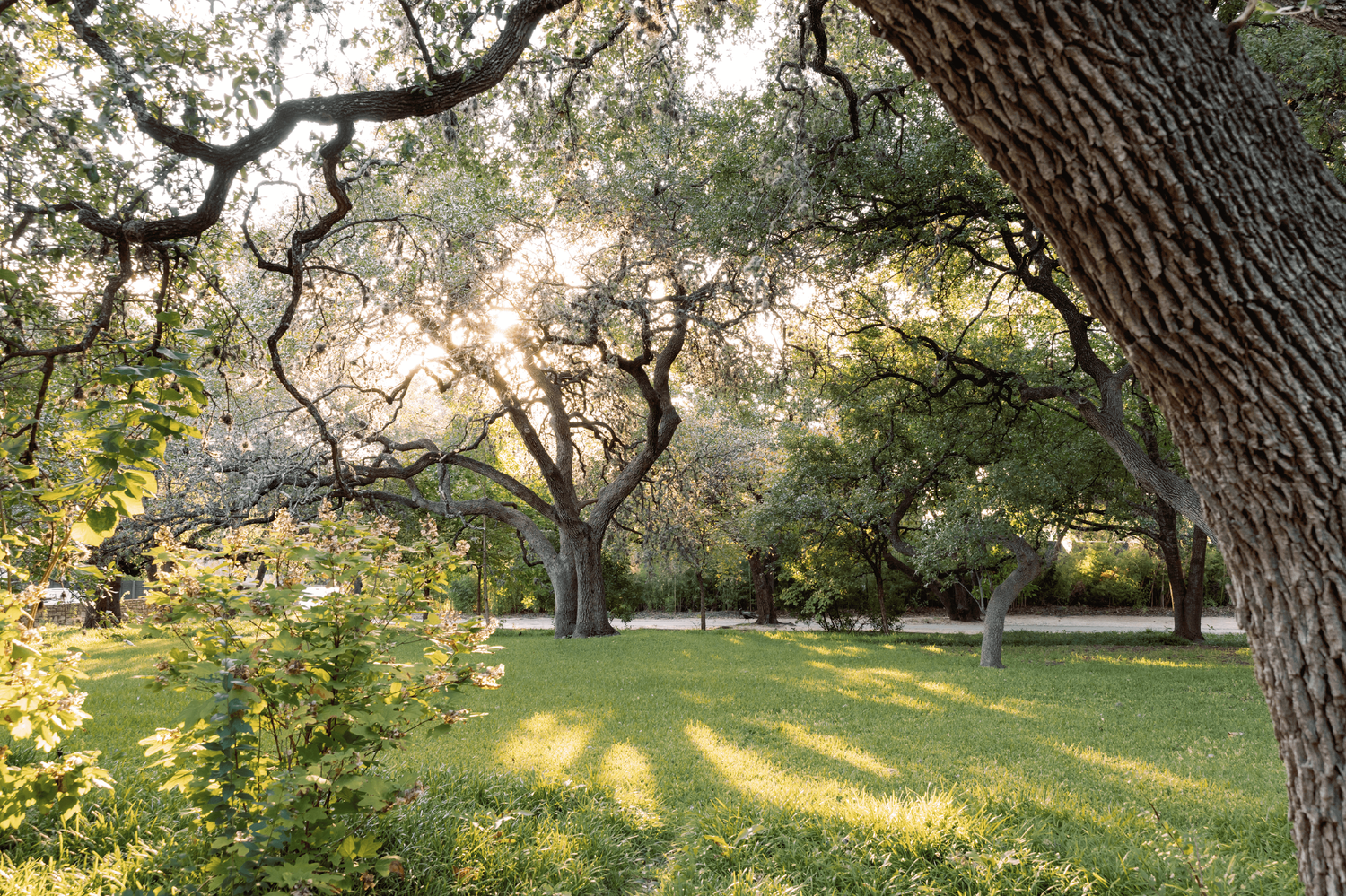 Green Pastures Austin