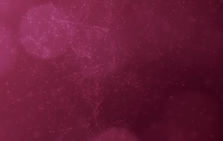 Platform — Carma, Inc.