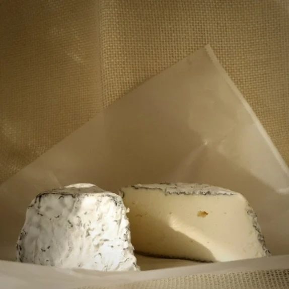 Cow's Milk Cheese — Andante Dairy