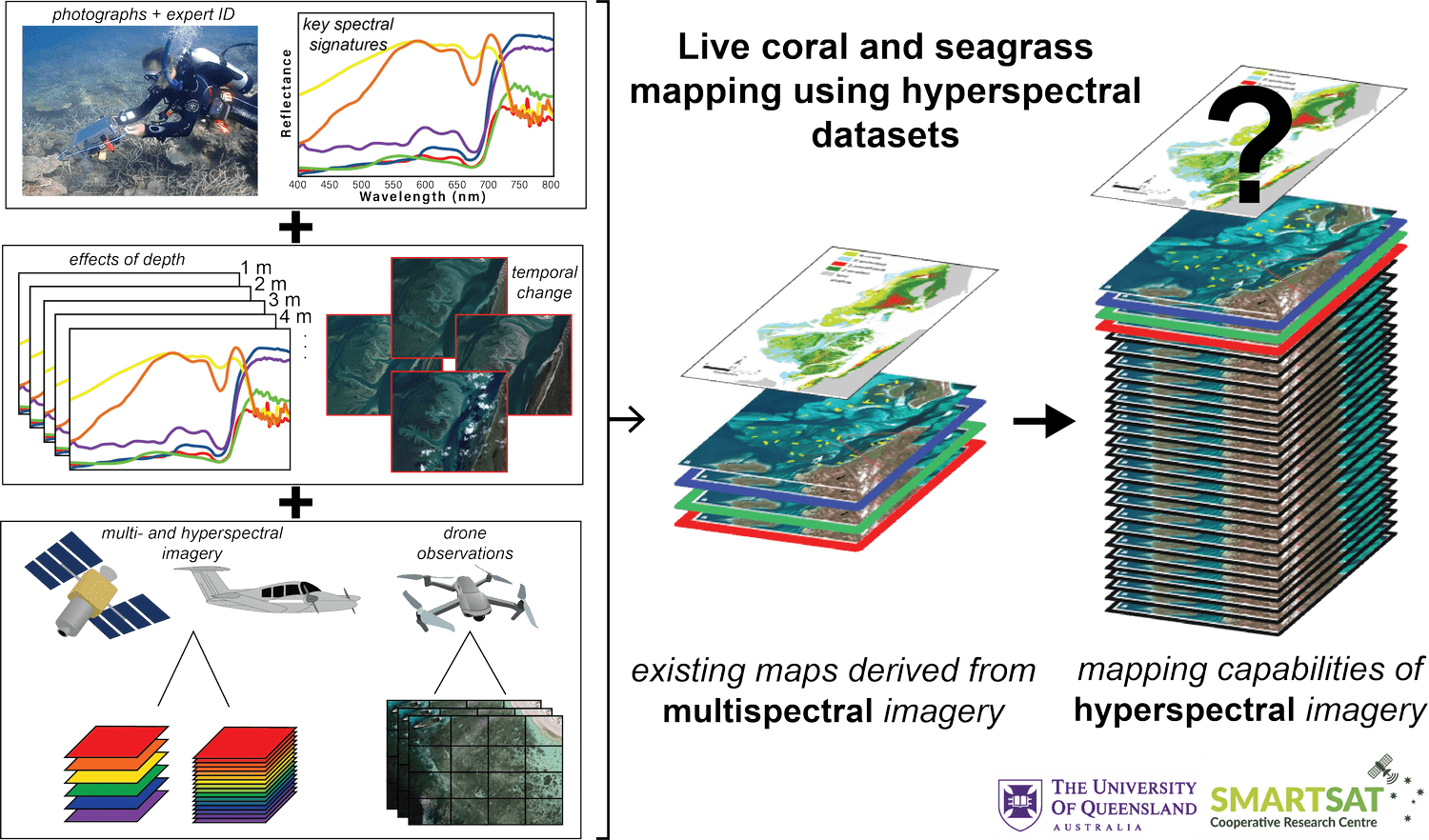 Hyperspectral Seagrass and Coral Mapping — Marine Ecosystems Monitoring Lab